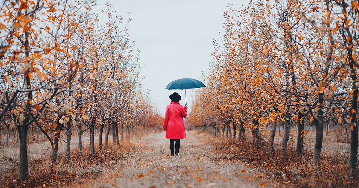 Walking with God through Trials (Part II of II) - Focus on the Family ...